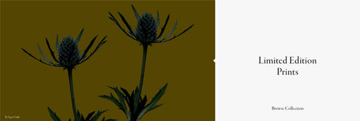 Curated Online Art Gallery | The Artling