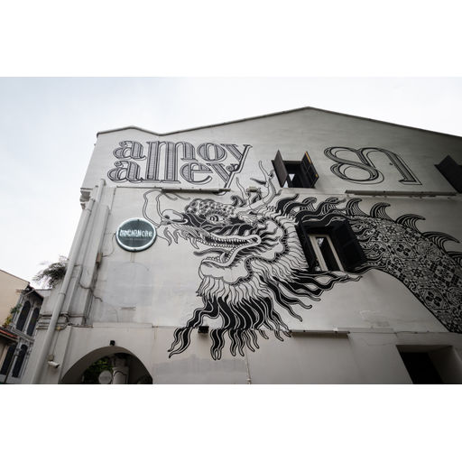 Amoy Street Mural - Singapore | The Artling