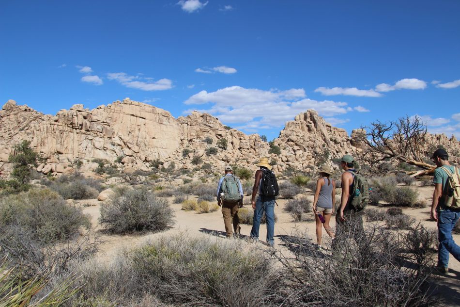 Artist Residencies in the United States | The Artling Artzine