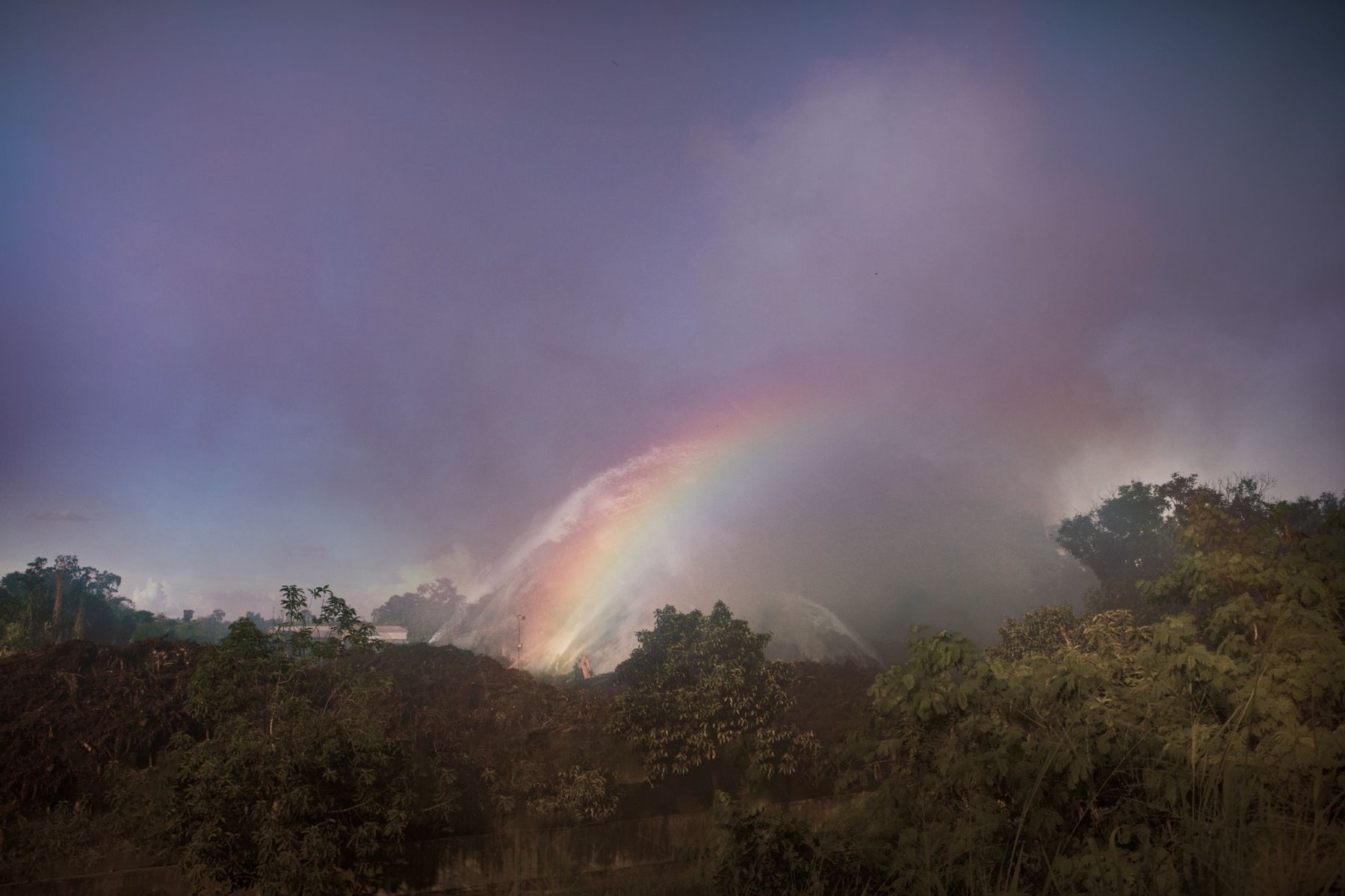 ART SG 2024: The Leading Art Fair in Southeast Asia is back!