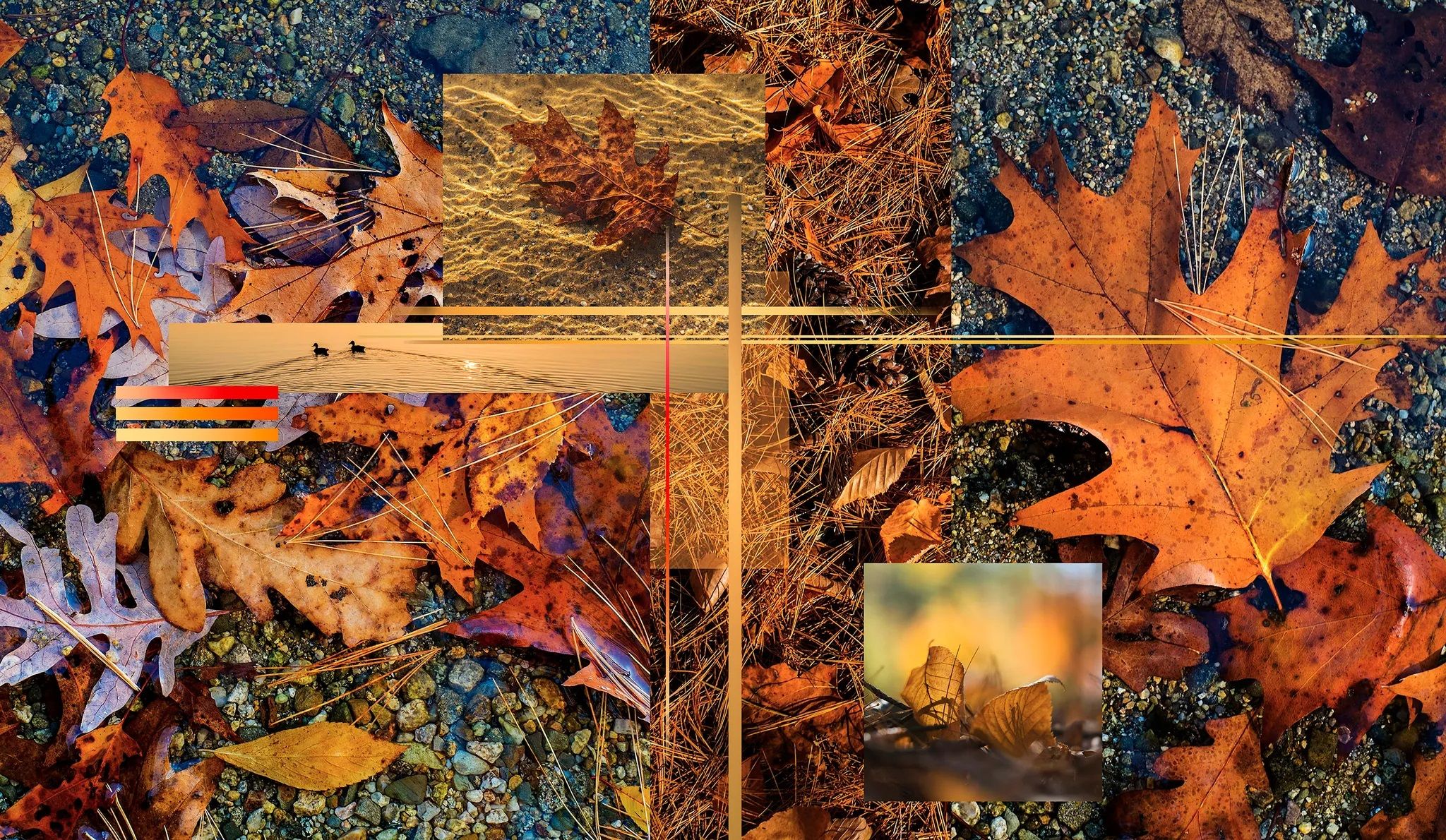 12 Artists Capturing The Beauty Of Fall Season In Their Artworks | The ...