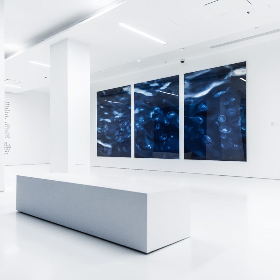 Istanbul City Art Guide | The Artling Artzine