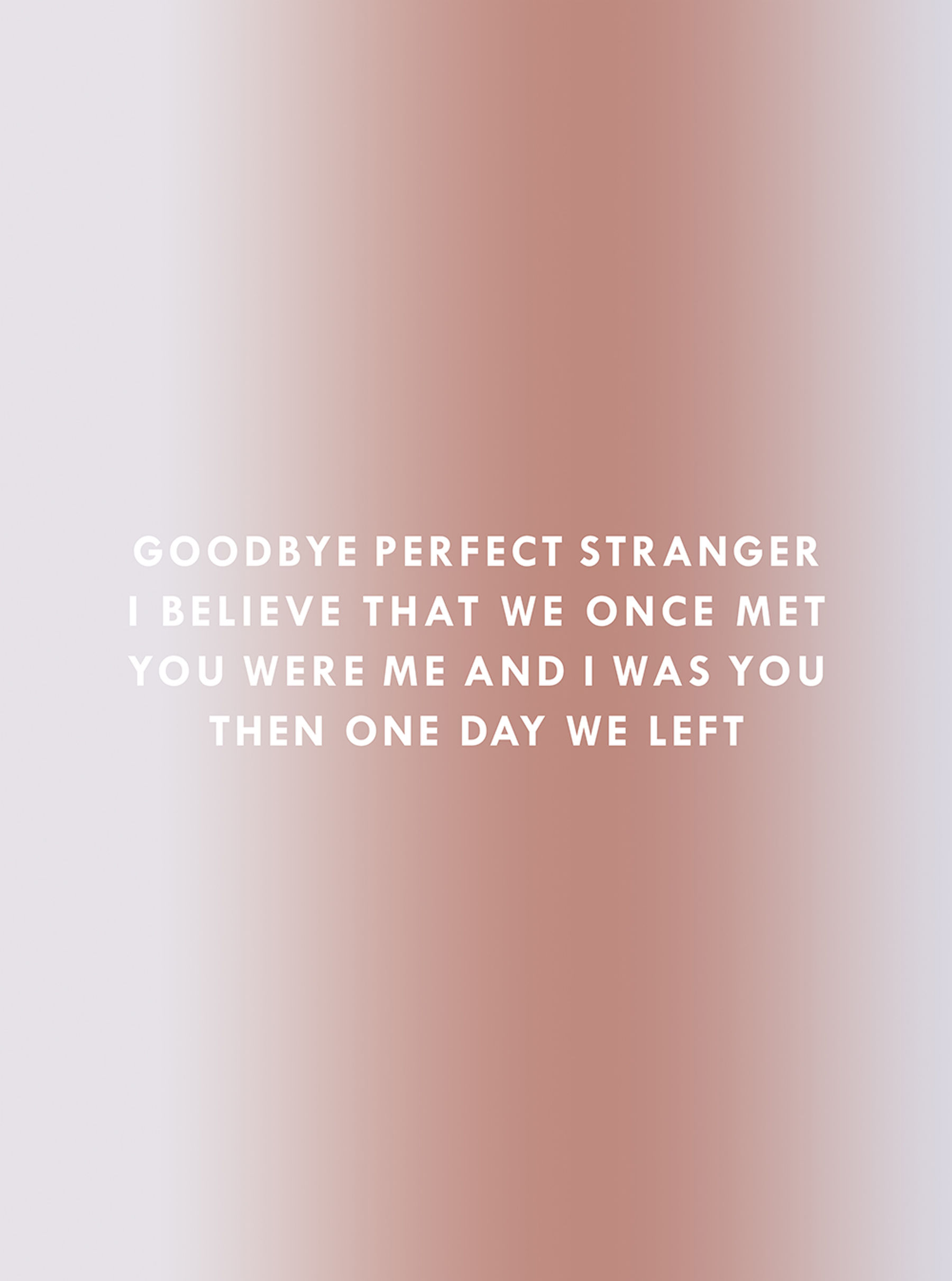 Dawn Ng and the 'Perfect Stranger'