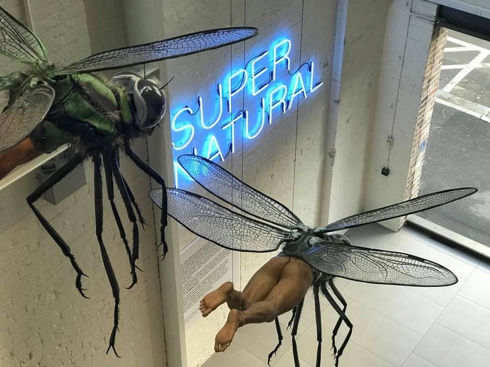 White Rabbit Gallery presents 'Supernatural' | The Artling