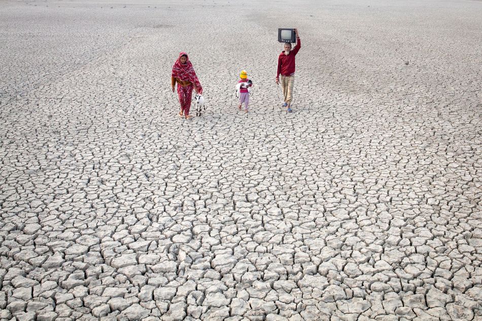 Art That Highlights Climate Change