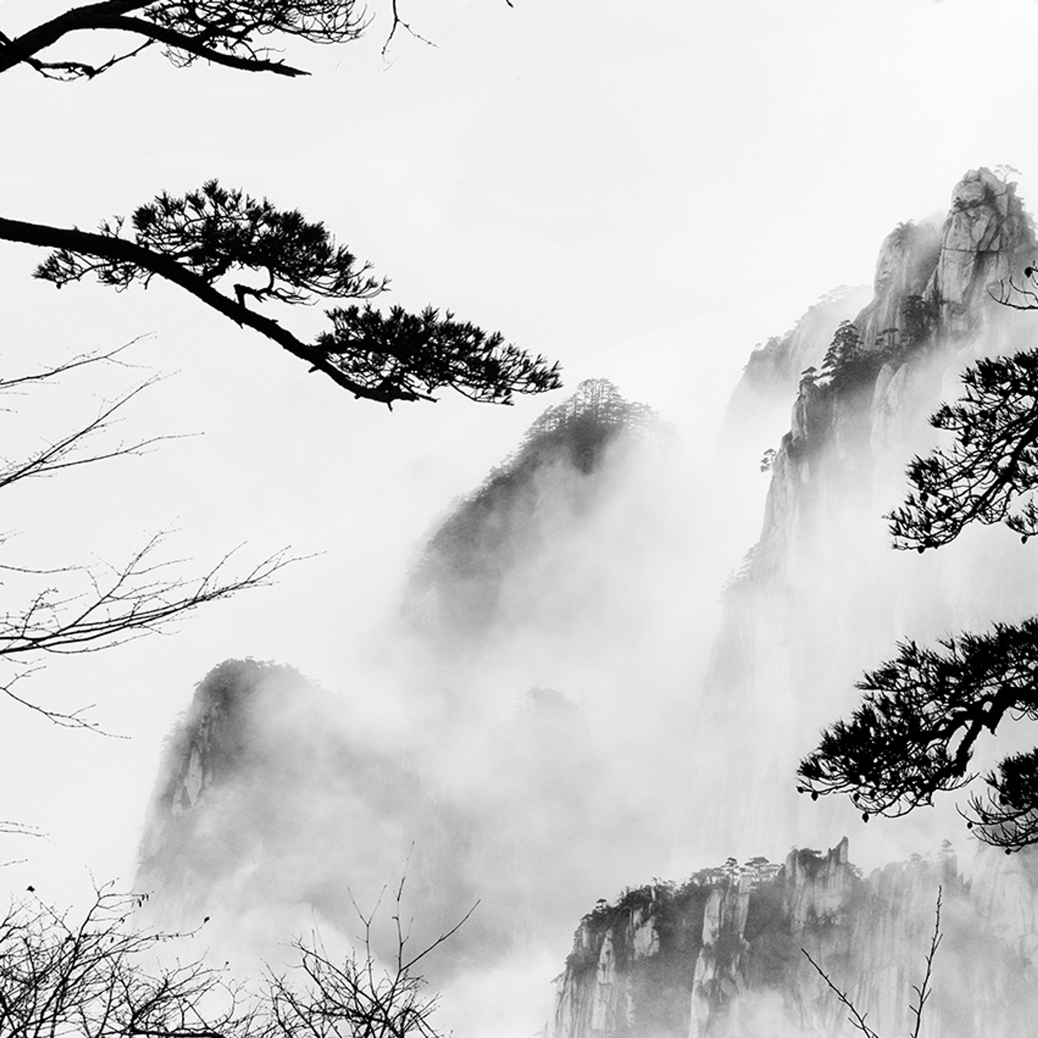 Alexandre Manuel: Artist Profile | Explore Works on The Artling