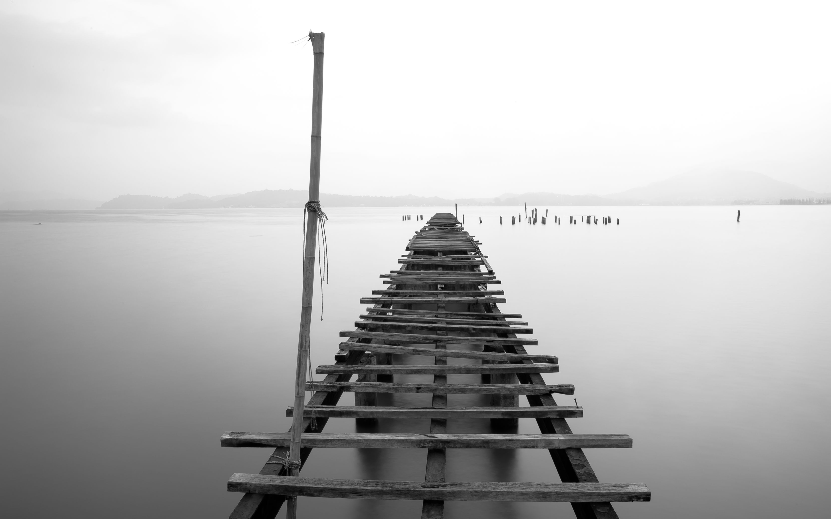 Lee Chee Wai - 10 works for sale, profile & content on The Artling