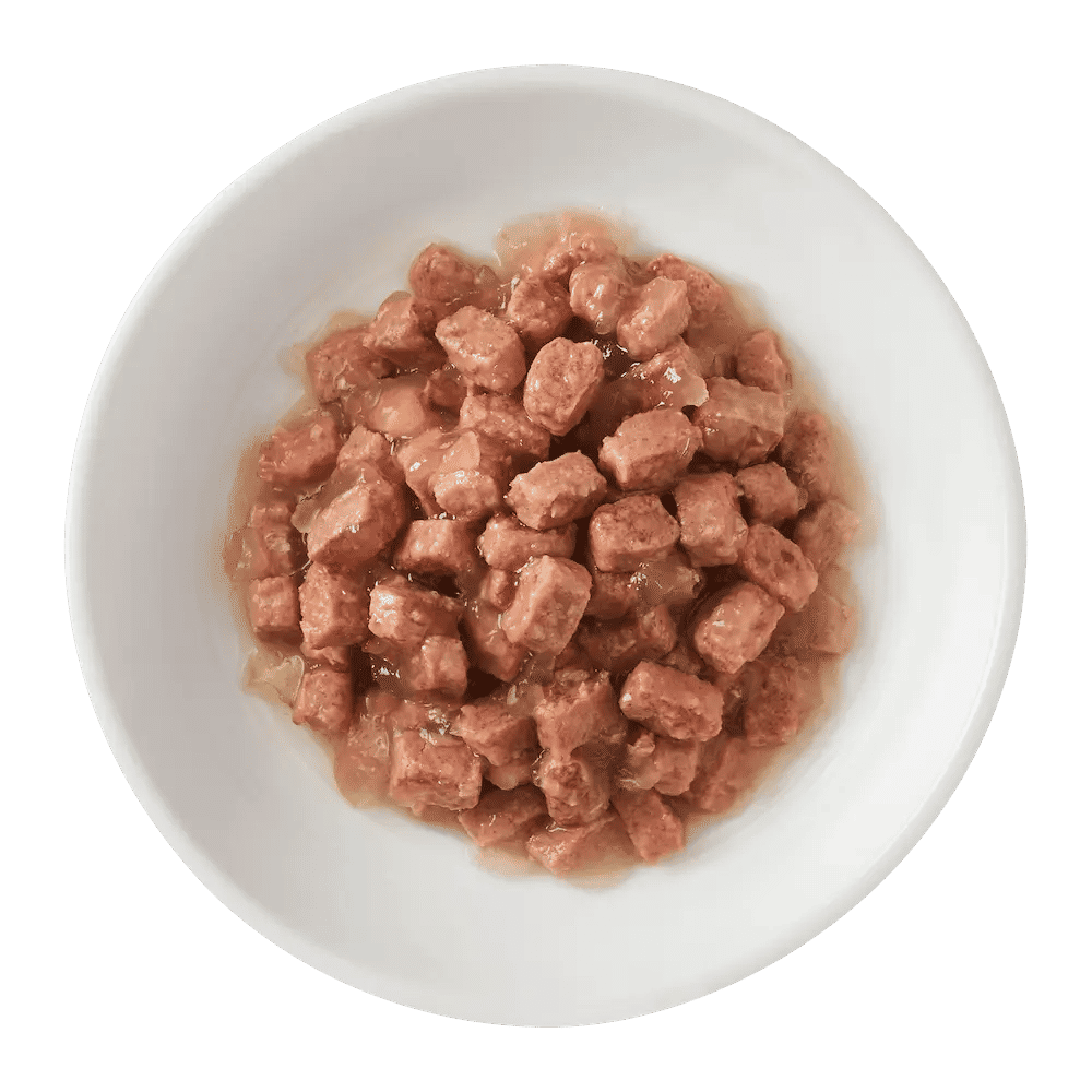 The Cool Cat Club - Proper food, delivered monthly