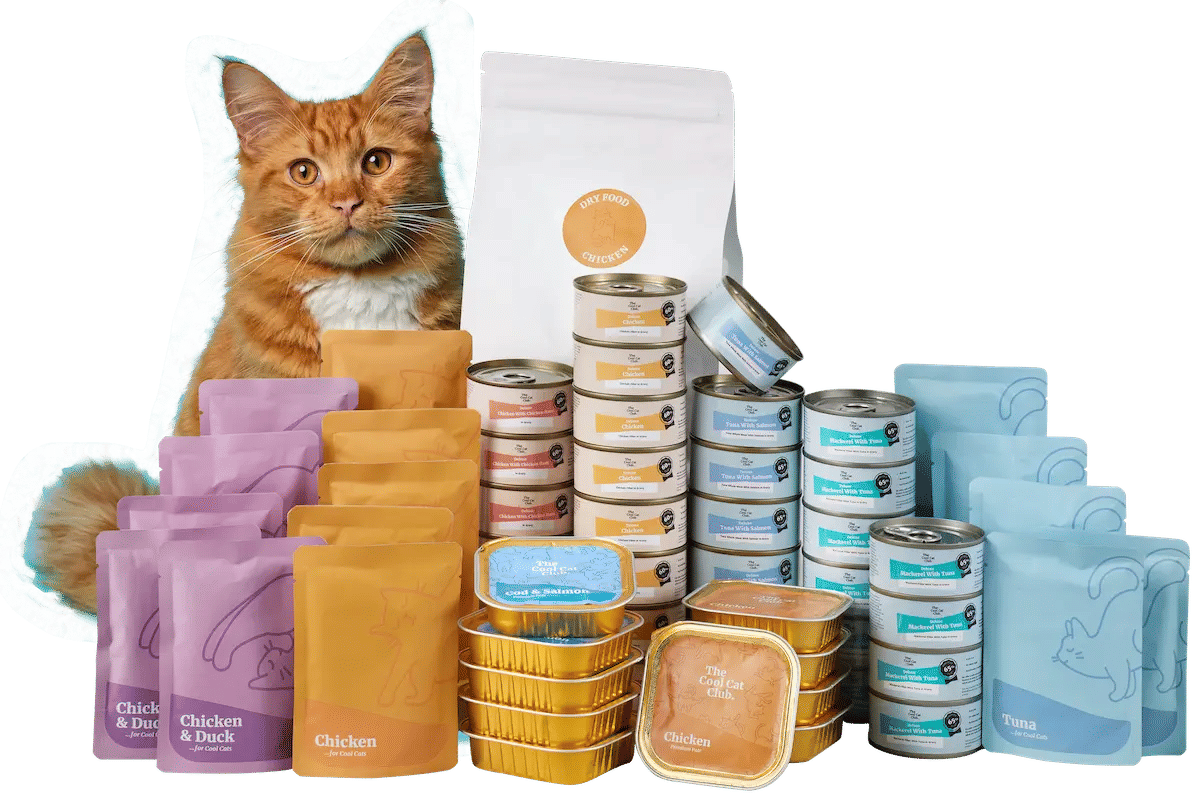 The Cool Cat Club - Proper food, delivered monthly