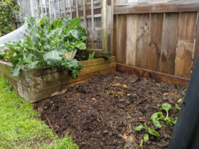 How to Make the Best Compost for Growing Vegetables: Composting 101 ...