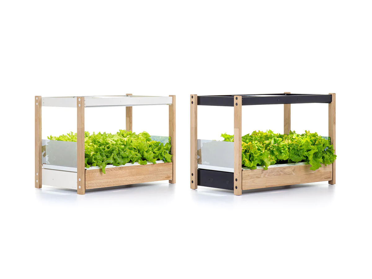 The Ultimate Click and Grow Smart Garden Review: Which is Best for You ...
