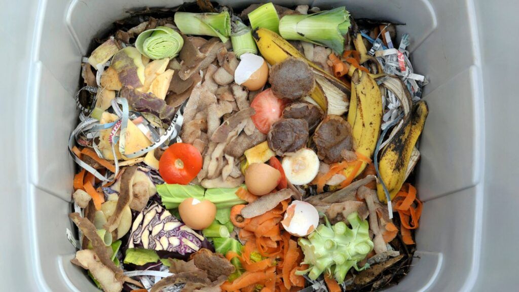 Discover the Best Worms for Composting + Find Out Where to Buy - The ...