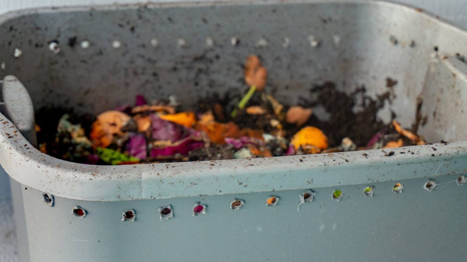 How to Make a DIY Worm Bin & the Best Way to Harvest Castings - The ...