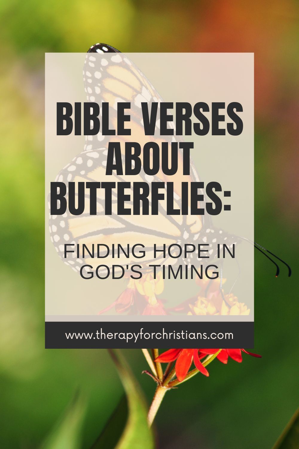 Bible Verses About Butterflies: Transformation, Beauty, and God's Promises