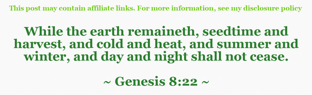 Winter Bible Verses and Lessons To Deepen Your Faith