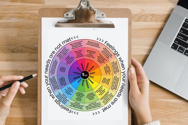 Mastering the Emotional Wheel: Understand, Name, and Manage Your Emotions