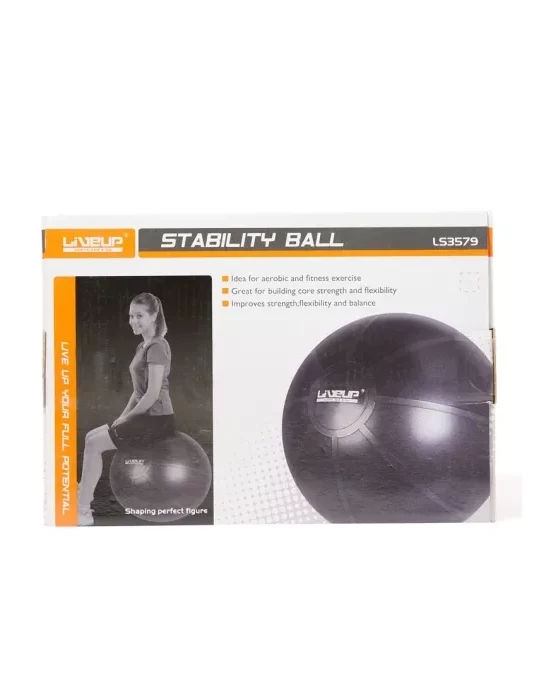 Liveup Stability Ball With Pump 65 Cm Ls3579