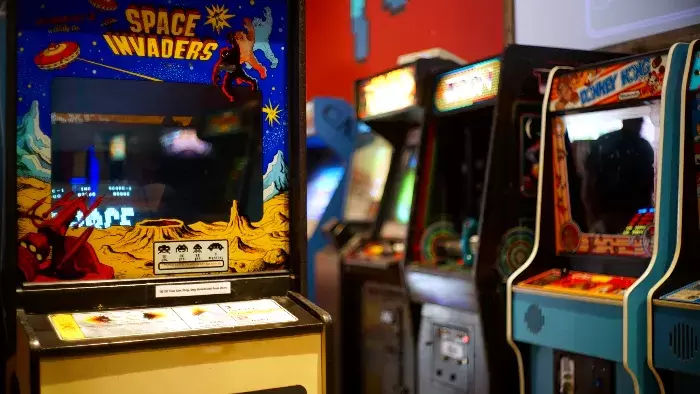 Rain or Shine: Unforgettable Experiences in the Tims Ford Lake Area