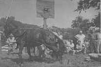 Awalt: The Town Under Tims Ford Lake