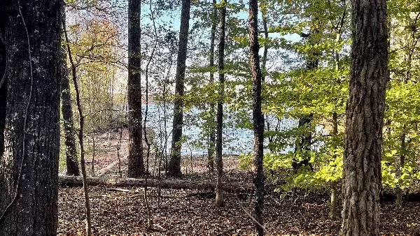 Fairview Devil Step Campground