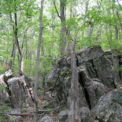 Hawkins Cove State Natural Area - Cowan, Tennessee - Tims Ford Lake ...