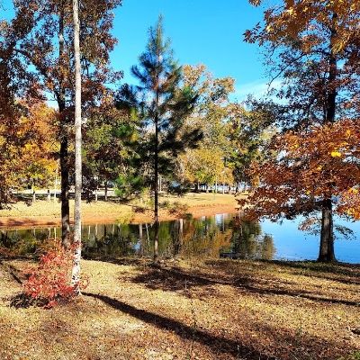 Fairview Devil Step Campground - Winchester, Tennessee - Tims Ford Lake ...