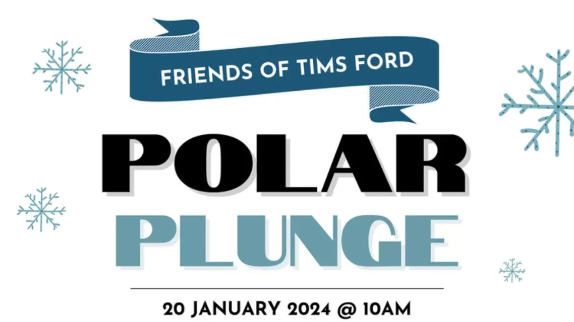 Tims Ford Lake Polar Plunge - Tims Ford Lake Area Event