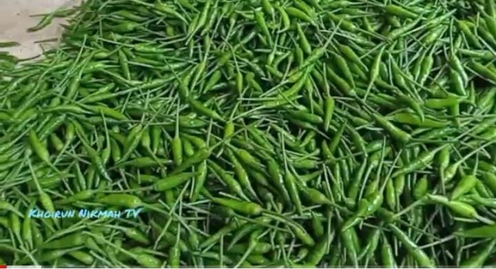Cabai Japlak Pacitan, Terkenal Awet, Potensi Pasar Luar Jawa Terbuka ...