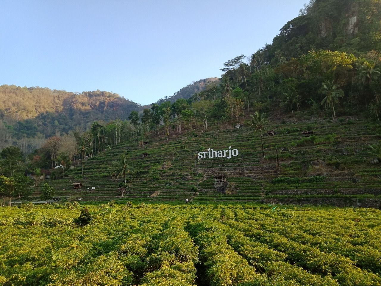 Mau Liburan, Ini 6 Spot Wisata Keren di Lembah Sungai Oya - wongkito.co