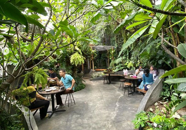Svarga Flora Coffee & Plants, Cara Nikmat Ngopi dengan Nuansa Hutan di ...