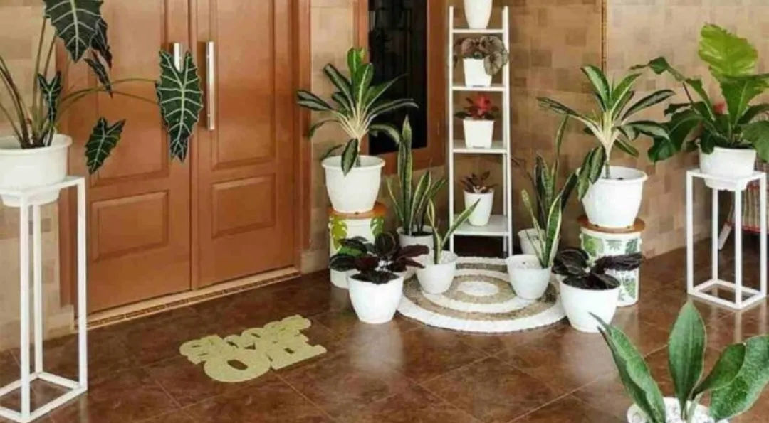 Simak Begini Cara Unik Menata Pot Bunga di Teras Rumah - wongkito.co