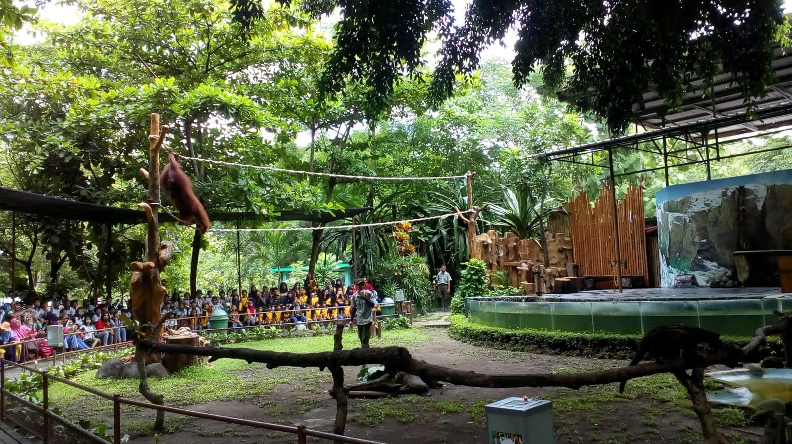 GL Zoo Tetapkan Masa Liburan Nataru Sampai 1 Januari Mendatang ...