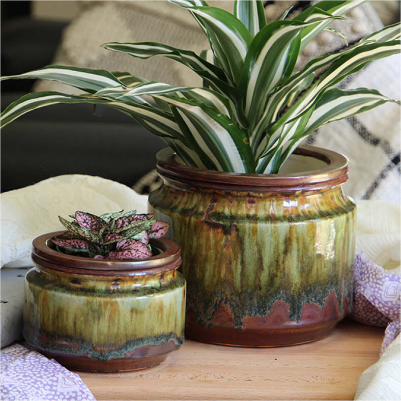 Indoor Pottery | Pots & Planters