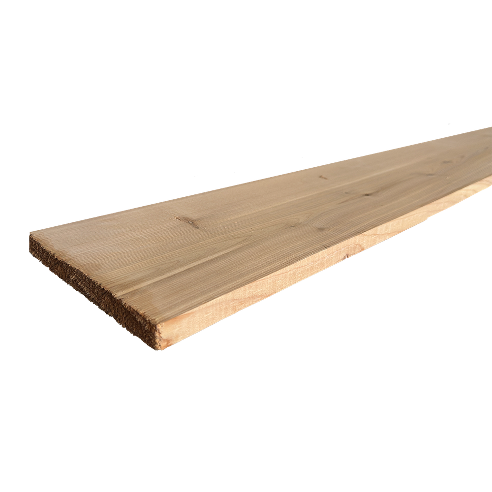 Red Cedar D4S 1" x 8" x 16' STK at Monaghan Lumber | Western Red Cedar