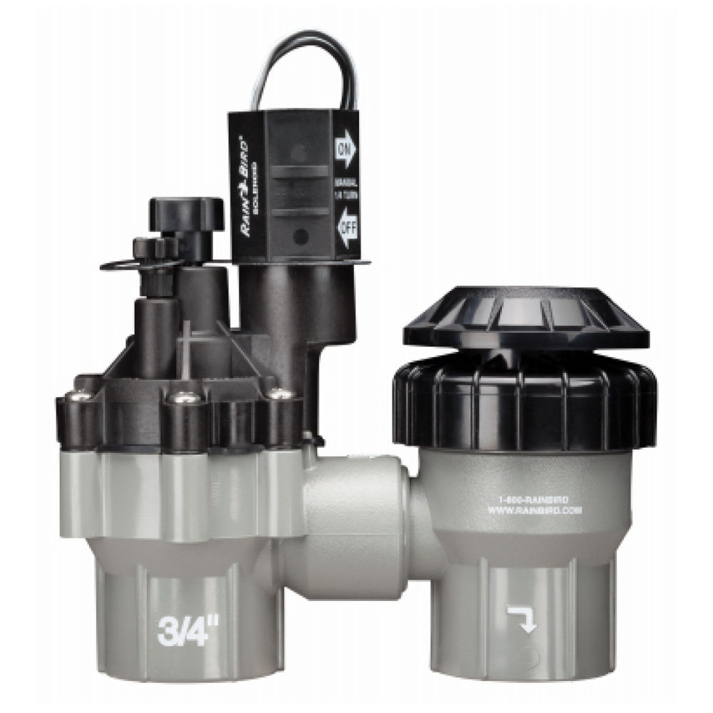 Rain Bird 3/4 in. Sure Flow Anti-Siphon Valve with Flow Control at ...