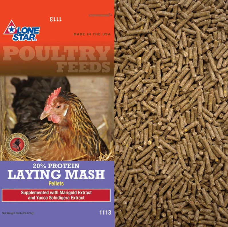 Lone Star 20% Laying Mash Pellets – 1/8" Poultry Feed, 50 lb. at ...