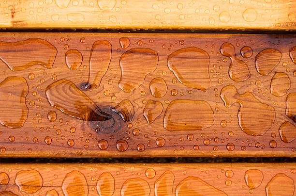 Cedar Lumber | FORESTRY