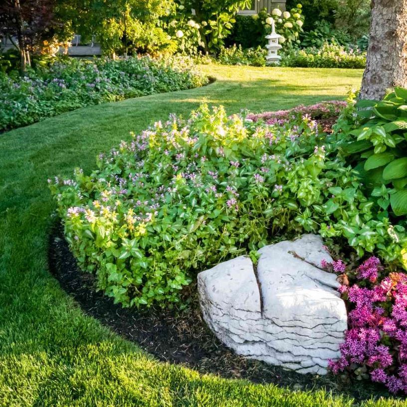 Shop Lawn & Garden at S.W. Collins Co.