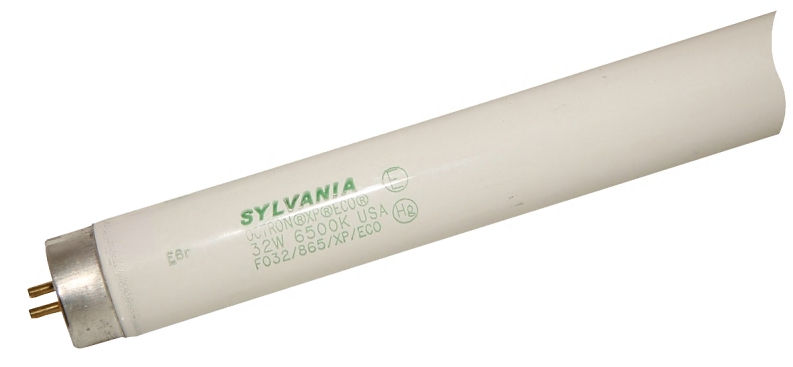 Fluorescent Bulb - T8 Lamp- 6500K - Shark White Light at Dufrene ...