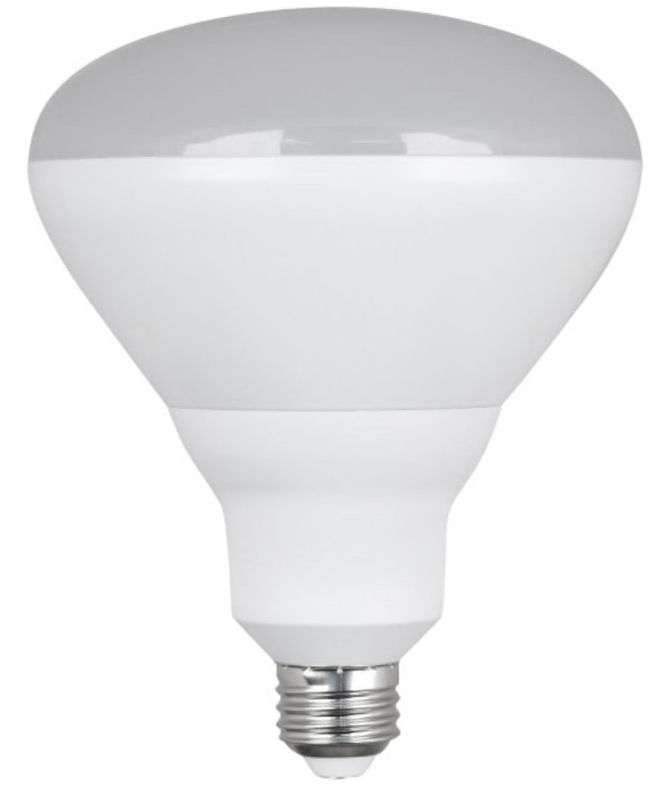 LED Light Bulb- Flood/Spotlight - 65W -Daylight -2 Pack at Dufrene ...