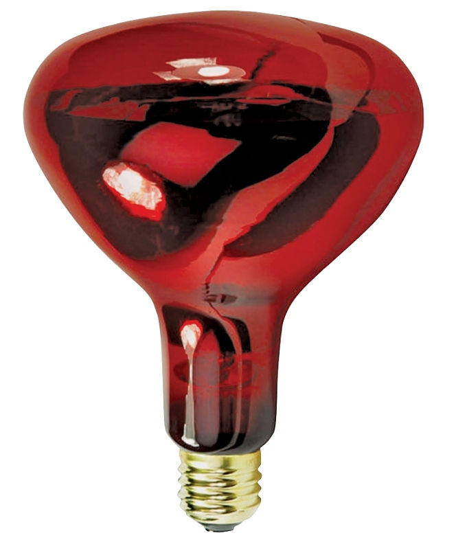 Incandescent Light Bulb- 250W- Red at Dufrene Building Materials ...
