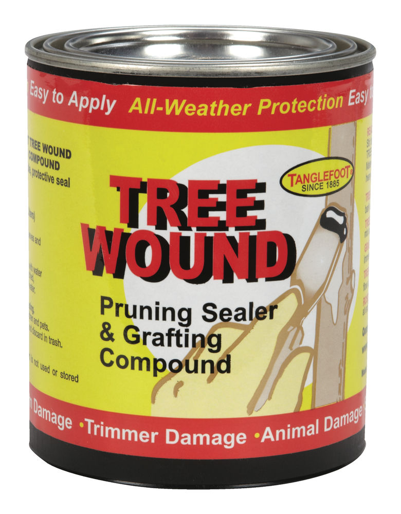 Tree Sealer/Graftng 16 oz. at Hill's Ace Hardware & Lumber | Foliage ...