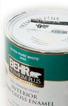 Mistint Paint Gallon at Ashby Lumber