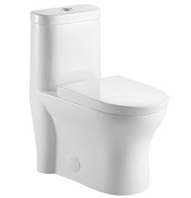 Neptune Toilet | Toilets