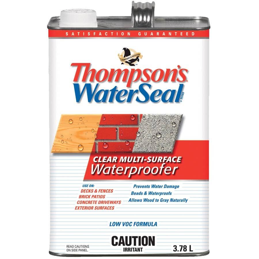 Thompson's Waterseal Multi-Surface Waterproofer Sealant - Clear - 3.78L ...