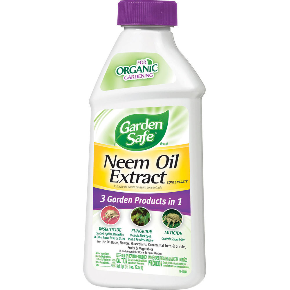 Neem Oil Organic Insect Soap 1 Qt at Ashby Lumber | Insecticides