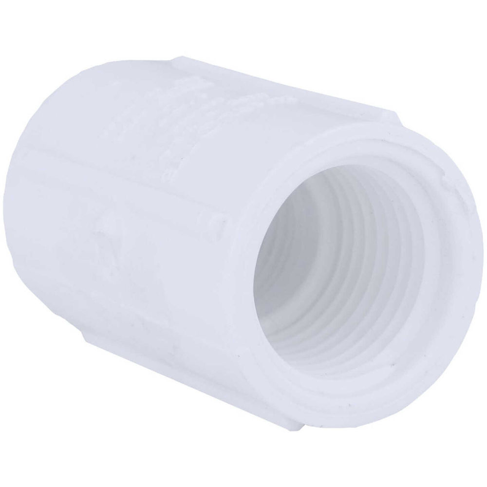 Charlotte Pipe Schedule 40 3/4 in. FPT x 3/4 in. FPT PVC Coupling at ...