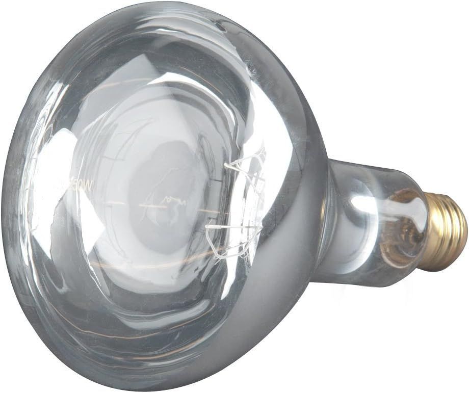 GE 250W R40 Heat Reflector Red Infrared Heat Lamp at Moscow & Pullman ...