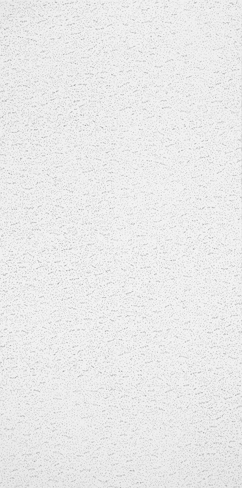 942B Textured Acoustic Ceiling Tiles 2x4 – 80 Sq Ft Box at Dufrene ...