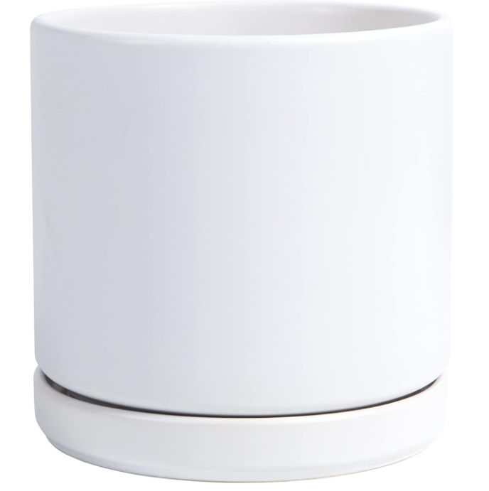 Gerbera Indoor Planter with Attached Saucer White Spot at Moscow ...